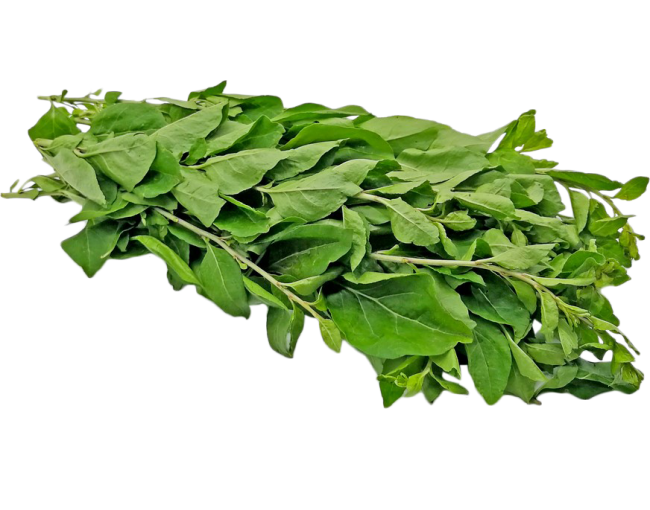 Wolfberry Leaves (Kau Kee) - 九杞 – Le Fresco